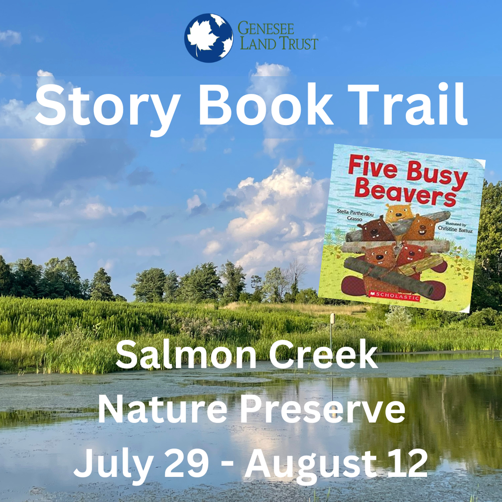 Storybook Trail - Winter 2023/24 — Genesee Land Trust