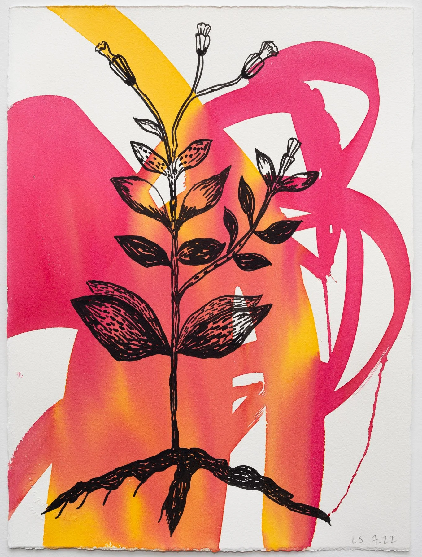 works on paper — Lawre Stone