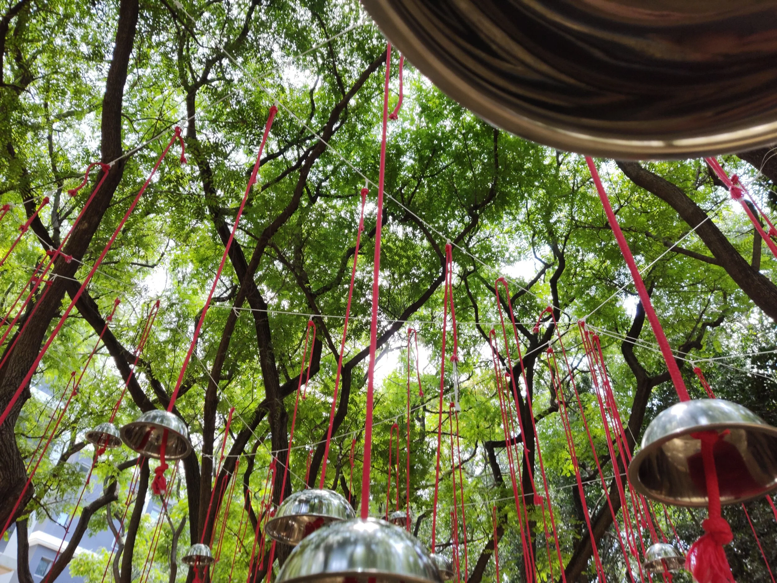 Bell Trees — Alon Peretz