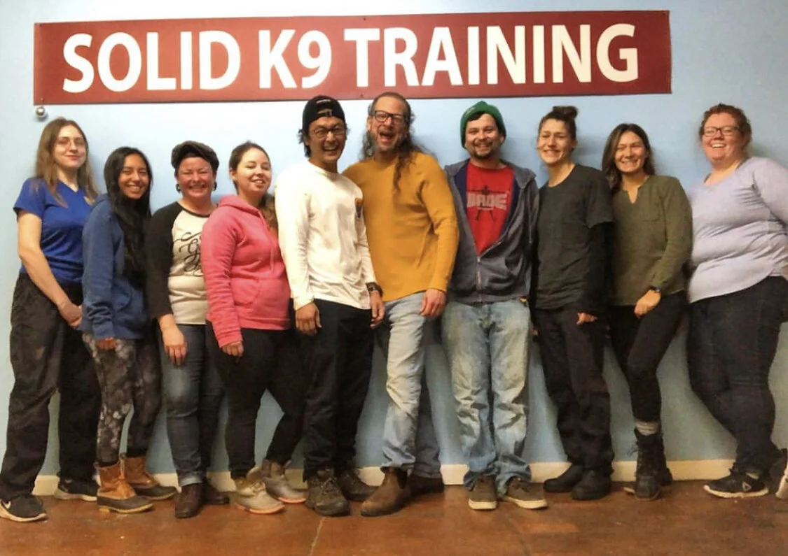 Shadow Program — Florida Dog Training | Solid K9 Training