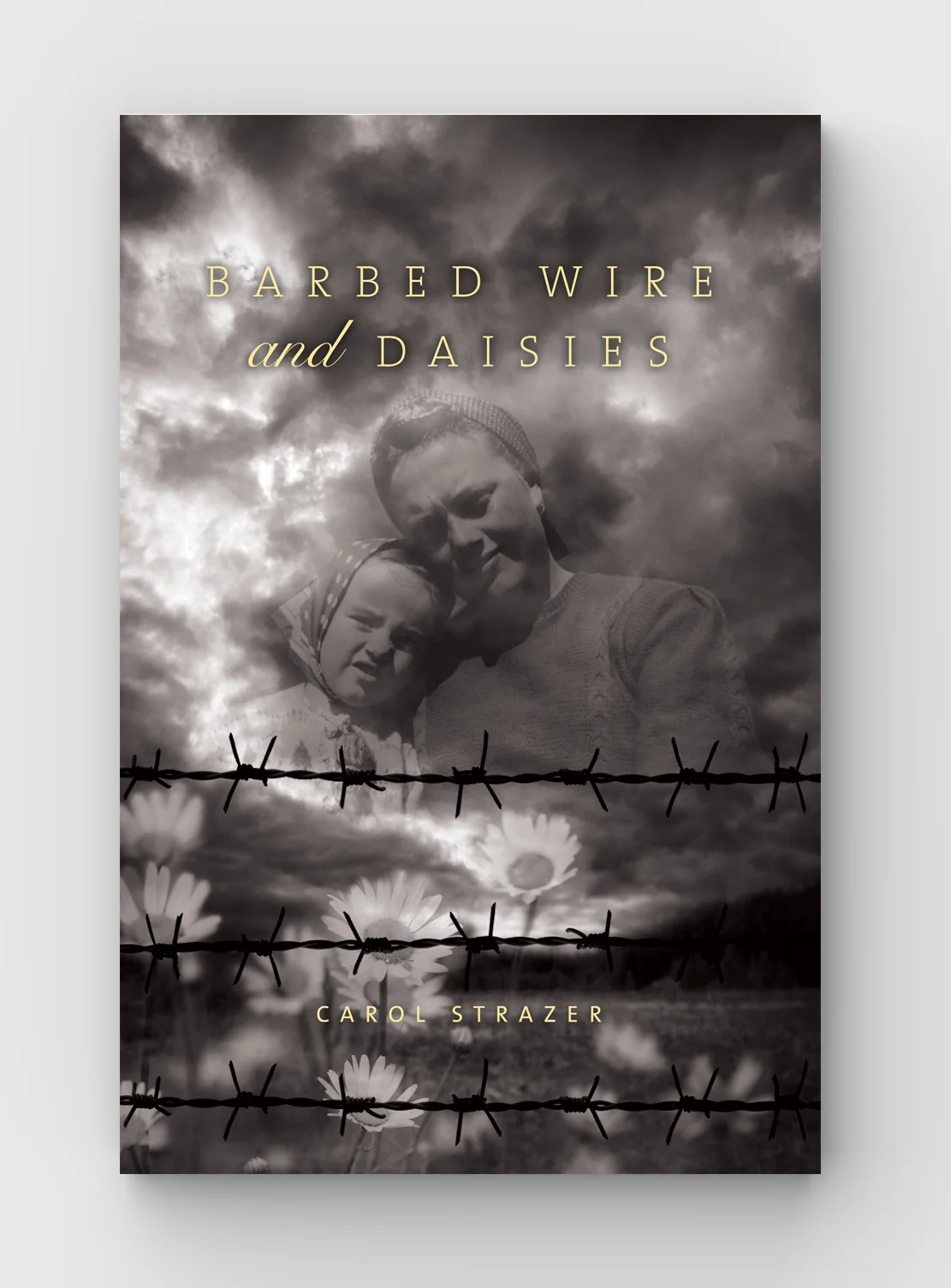 book portfolio — red letter creative