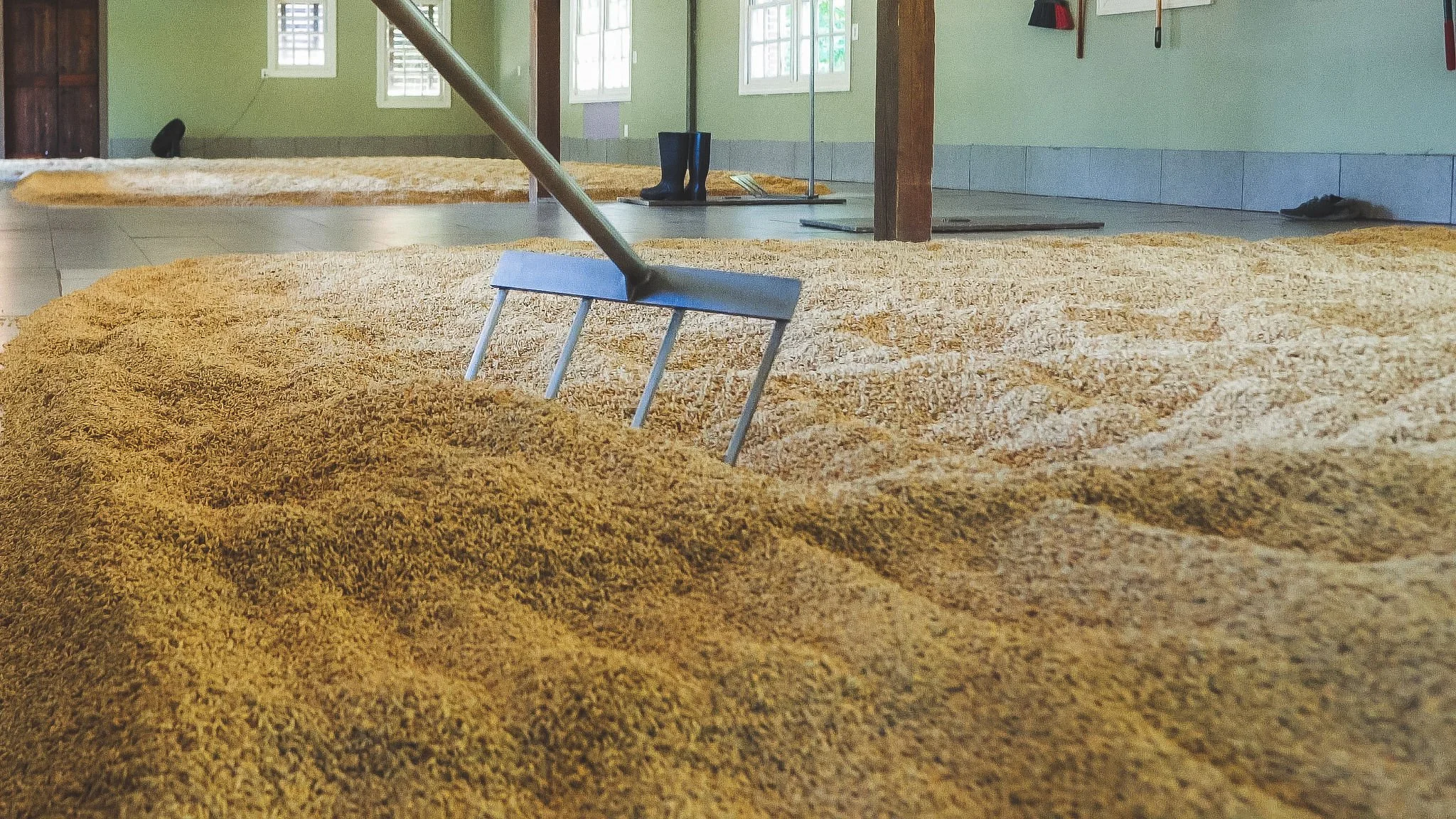 Copper Fox Distillery — Home of American Single Malt