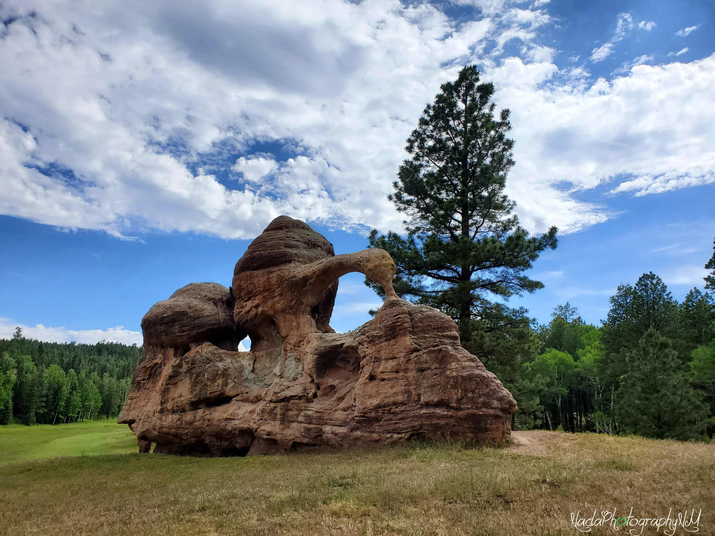 About Us — Redinet