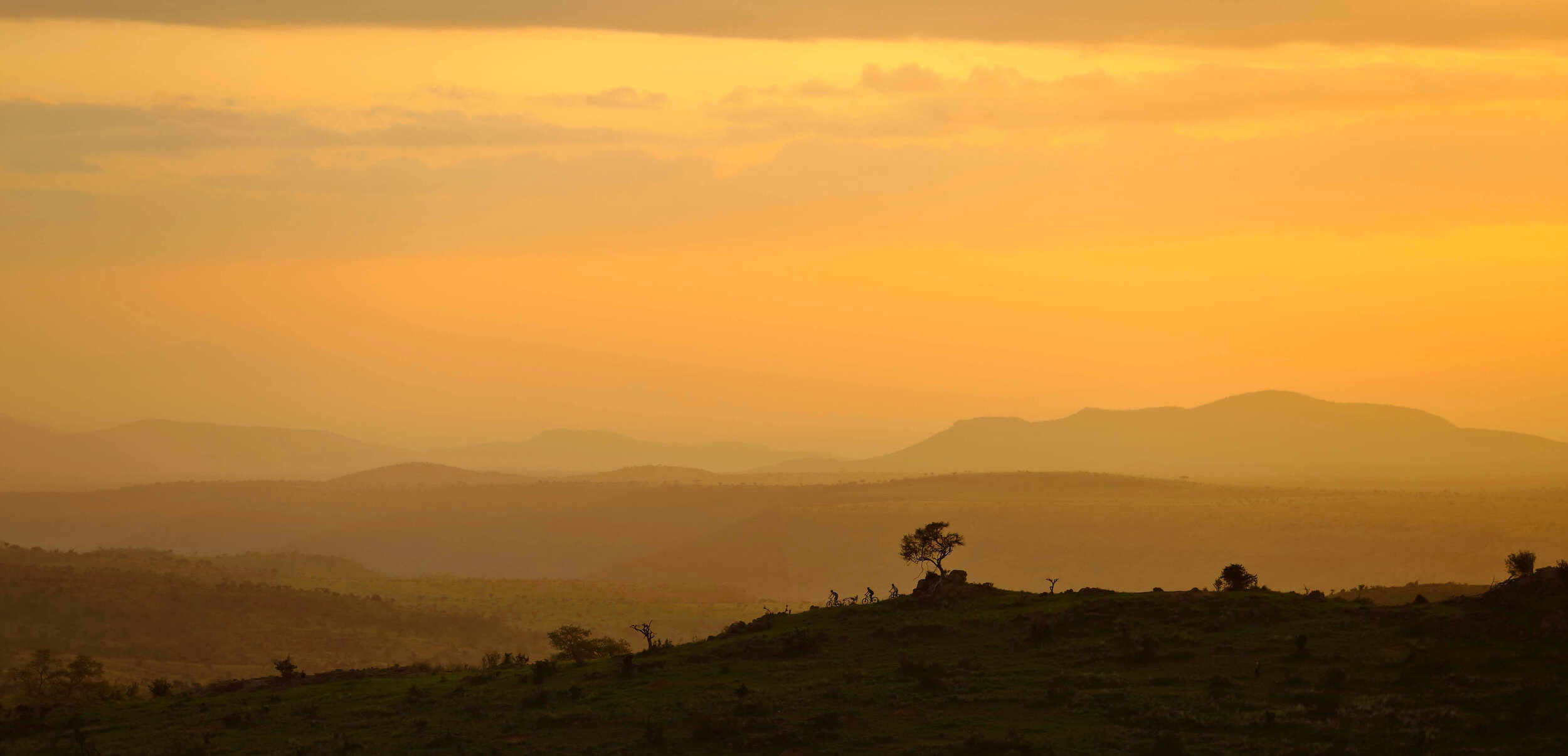 ACTIVITIES — Borana