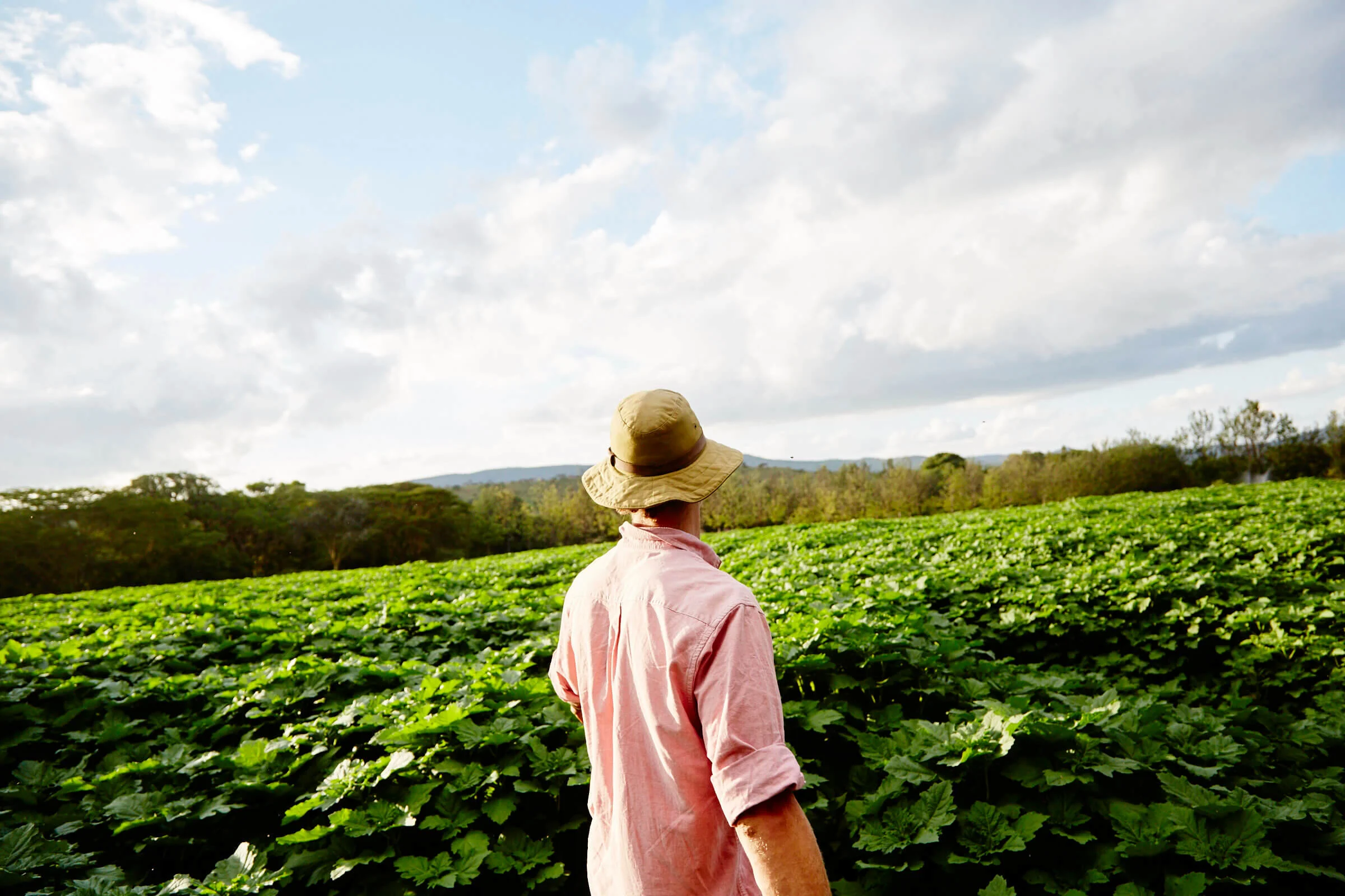 ACTIVITIES — Borana