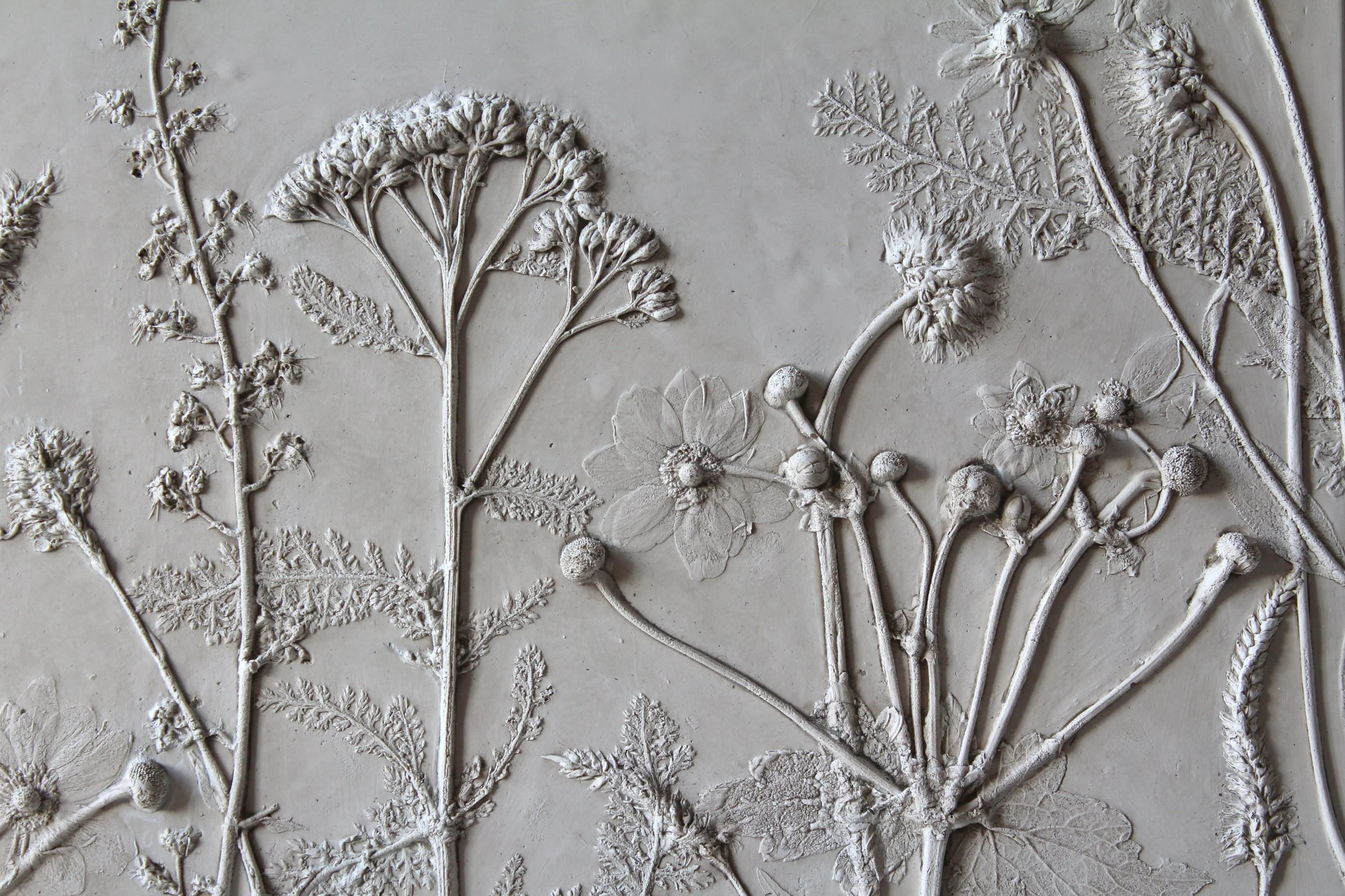 Gallery — Rachel Dein