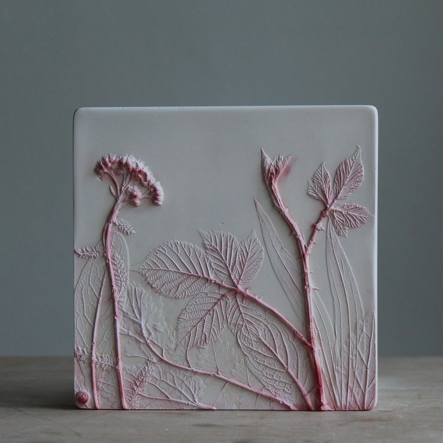 Gallery — Rachel Dein