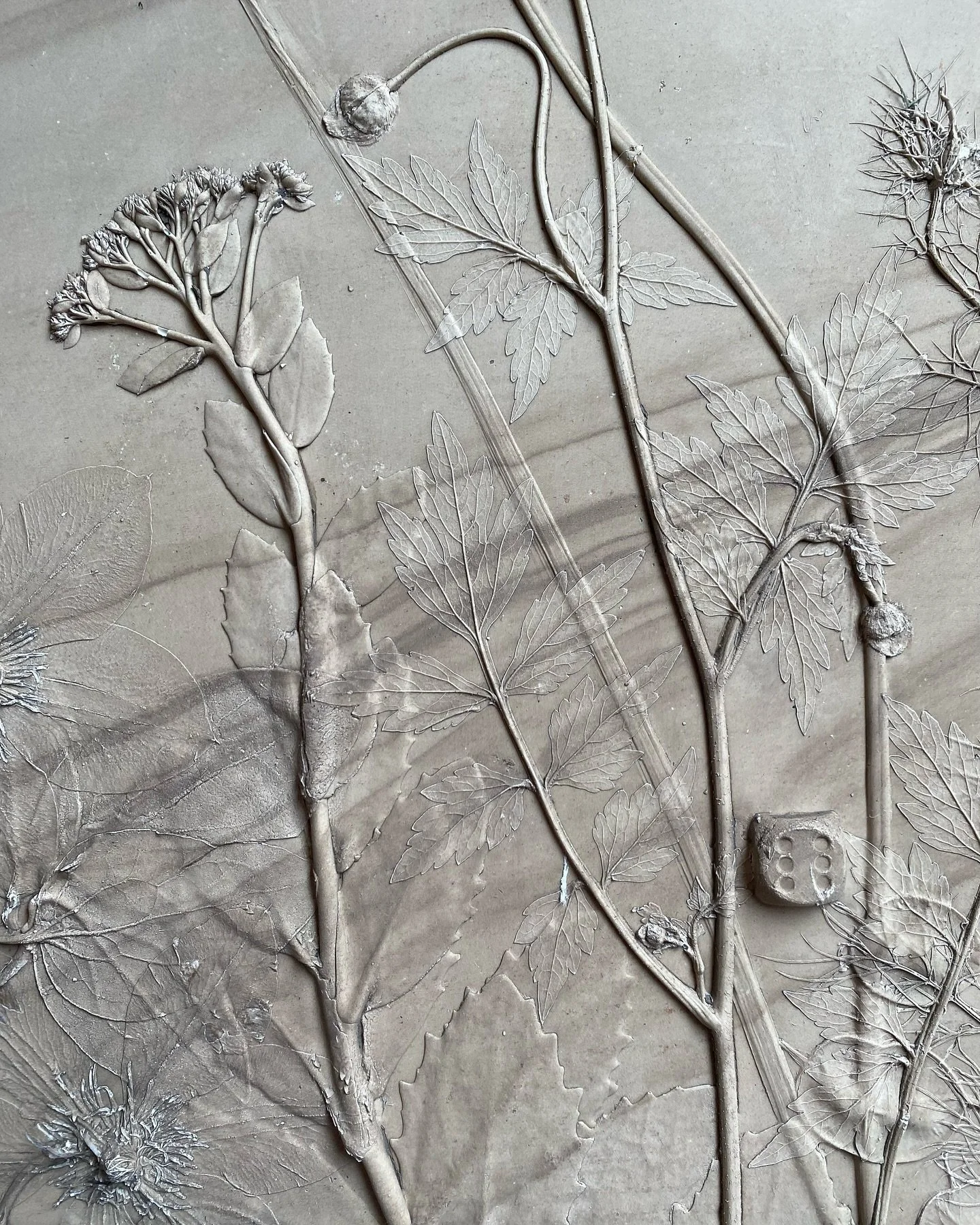 Gallery — Rachel Dein