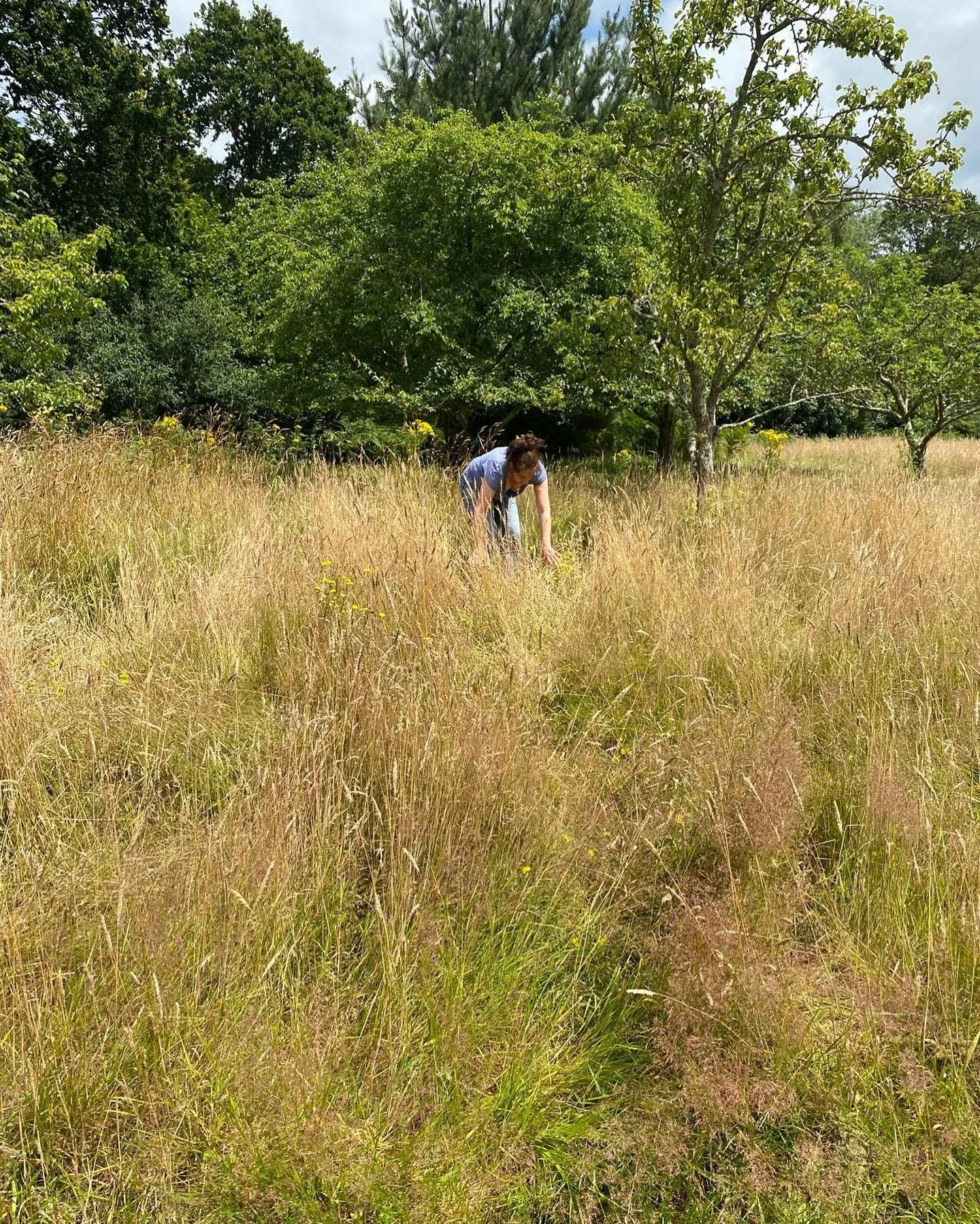 Gallery — Rachel Dein