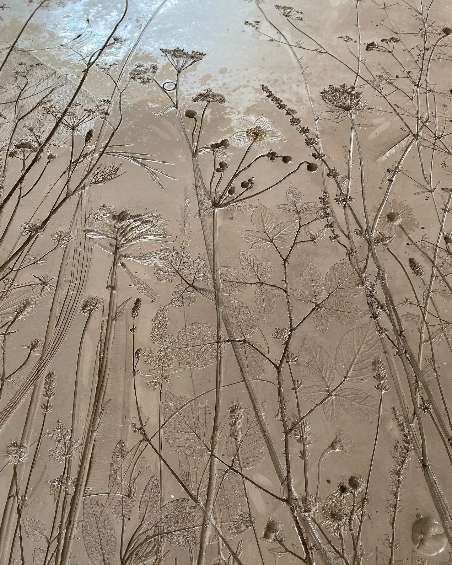 Gallery — Rachel Dein