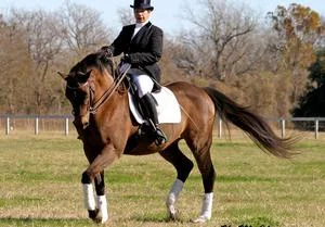 Vicky Esquivel — West Wind Stables