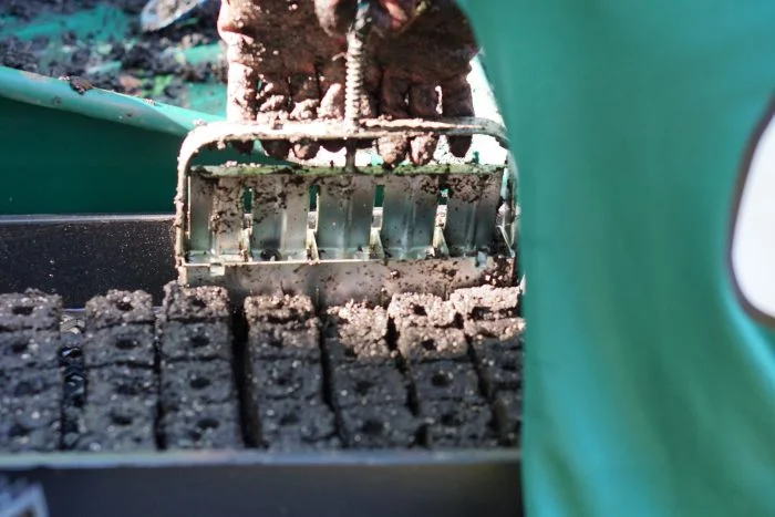 How to Start Seeds Using Soil Blocks — The Barn of Chapel Hill at Wild ...