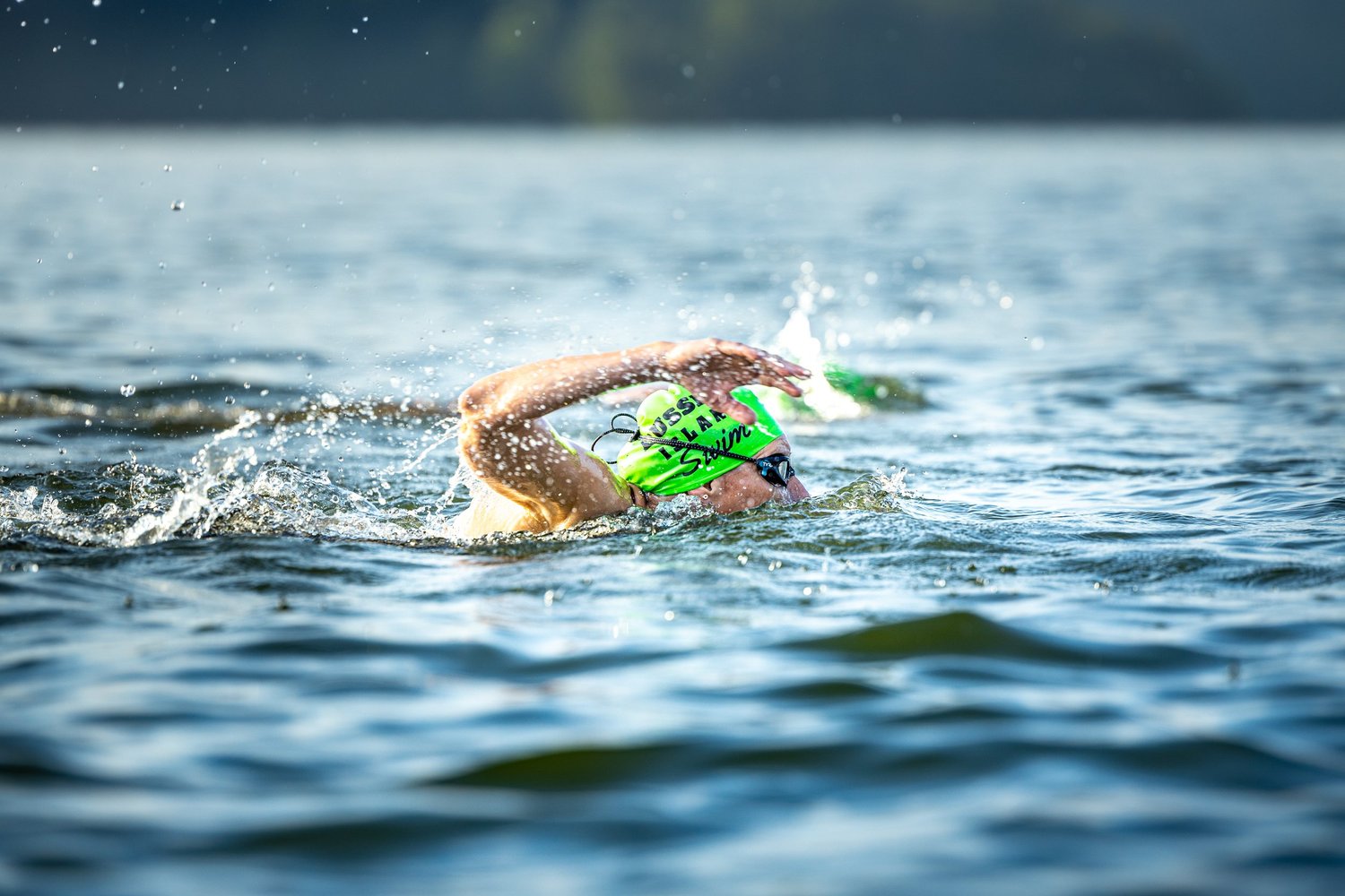 Bussell Island Swim — Knoxville Open Water Swimmers Knoxville Open ...