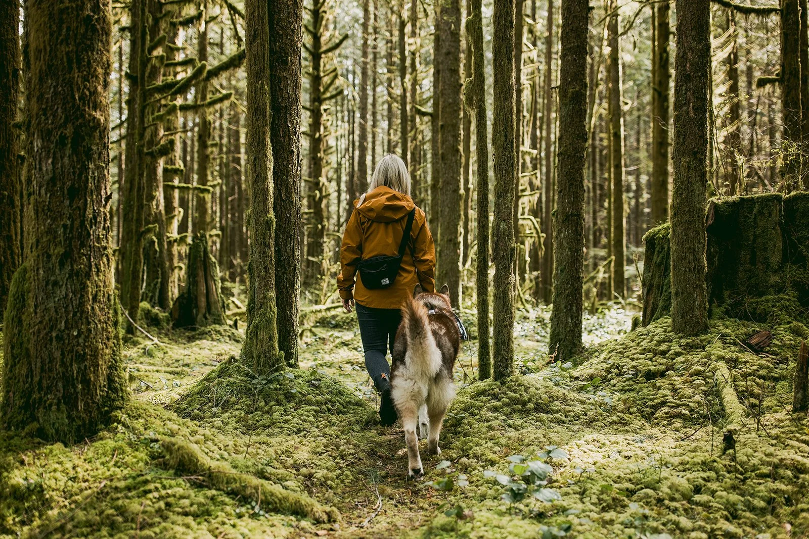 Contact — Canine Connection