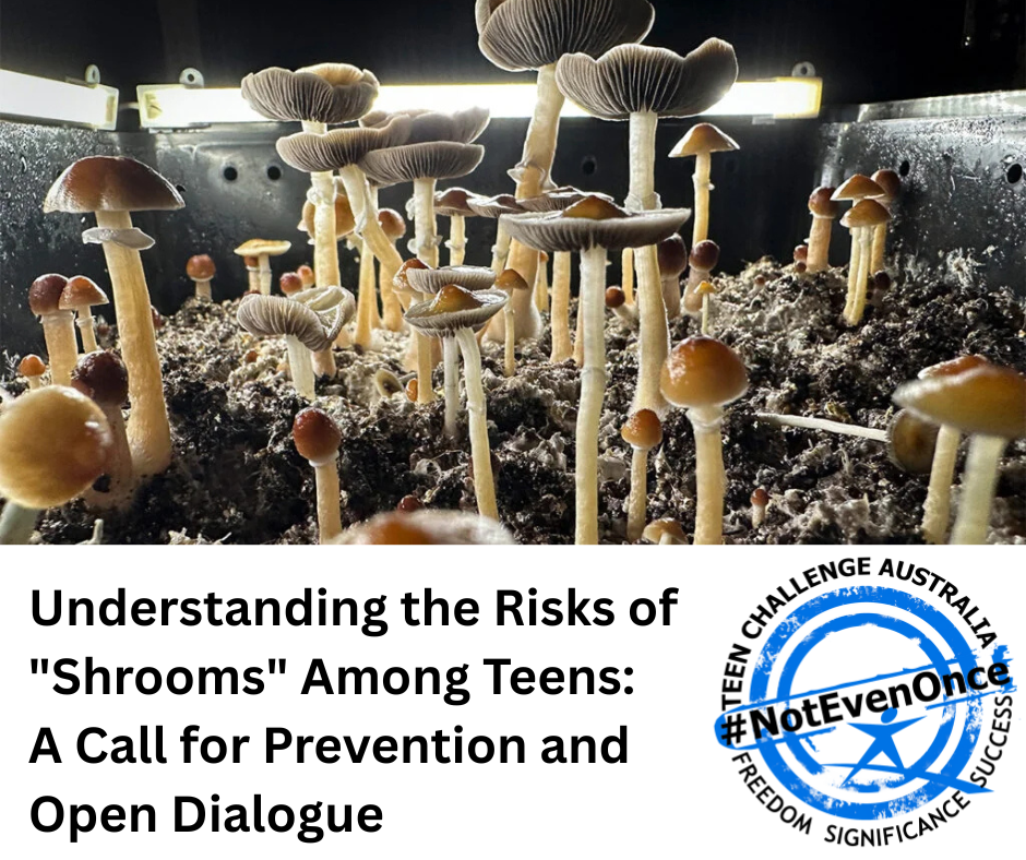 Understanding the Risks of "Shrooms" Among Teens: A Call for Prevention ...