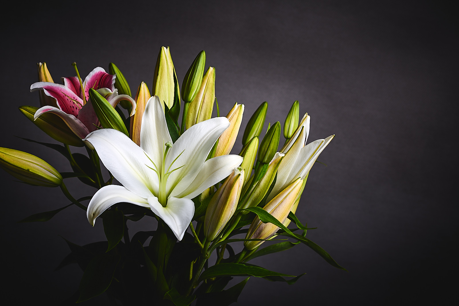 Shop Florals — Nuellie de Fleur Gladstone