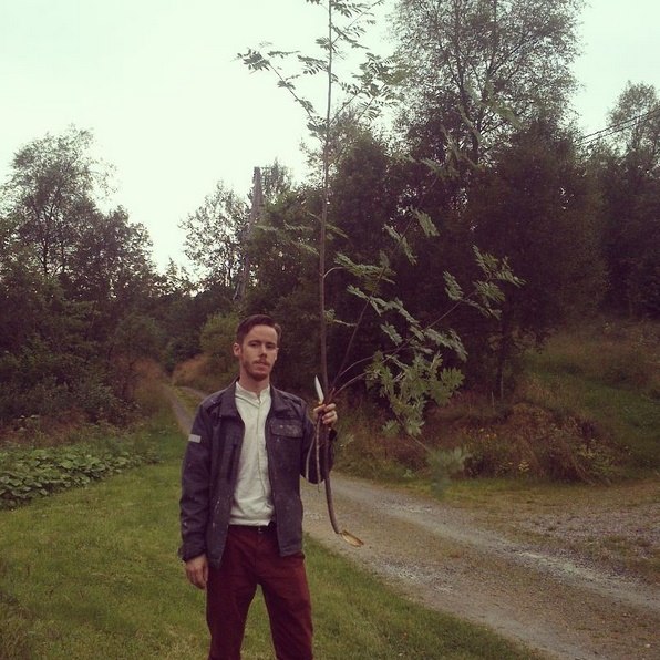 The Flying Rowan, Some Ethnobotanical Notes on a Magical Tree — Brute Norse