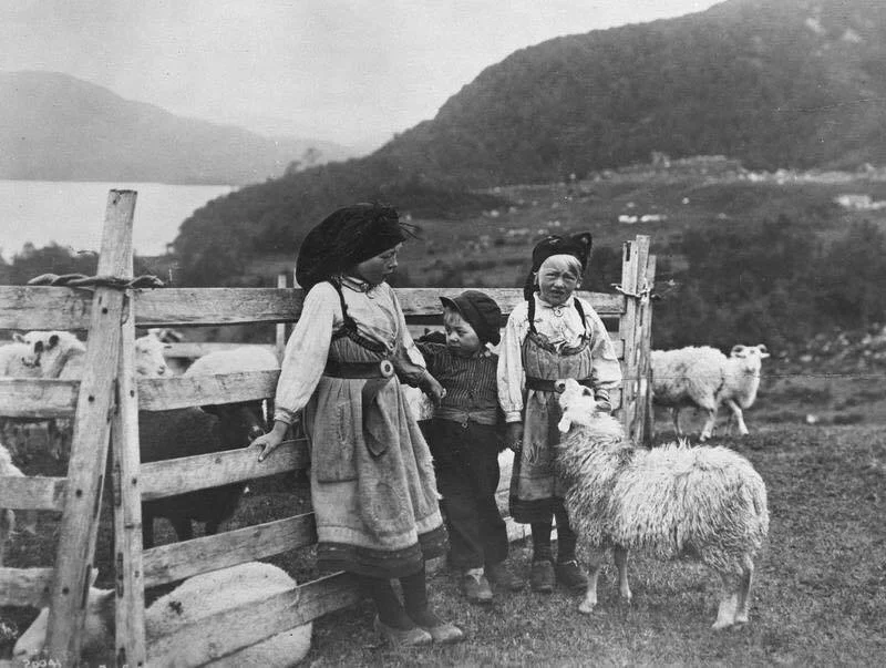 Fårikål: An Edible Cultural History of Norway — Brute Norse