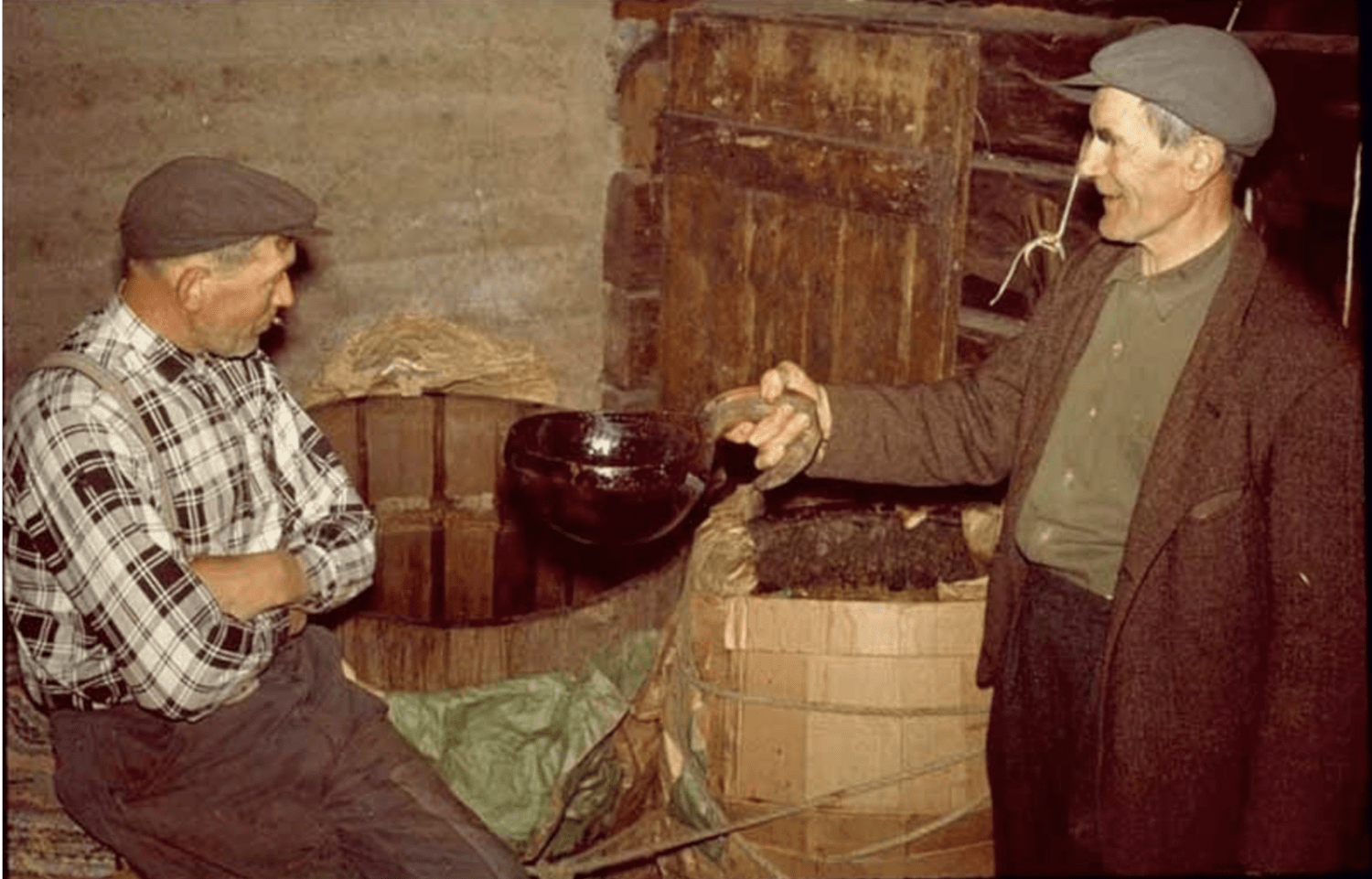 From Bog Myrtle to Hops: Ethnobotanical fragments from the history of ...