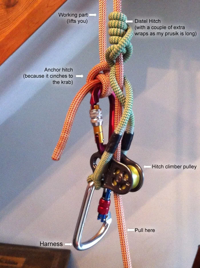 Tank's Tree-Climbing Primer — Jim Cromwell