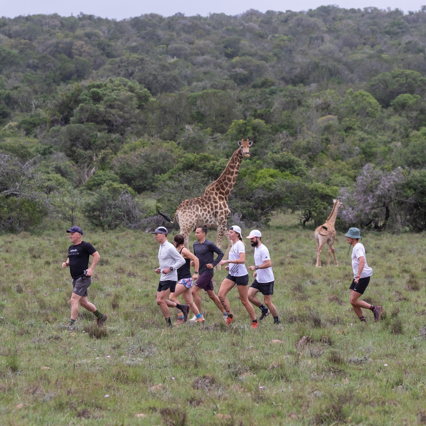 Runcation South Africa