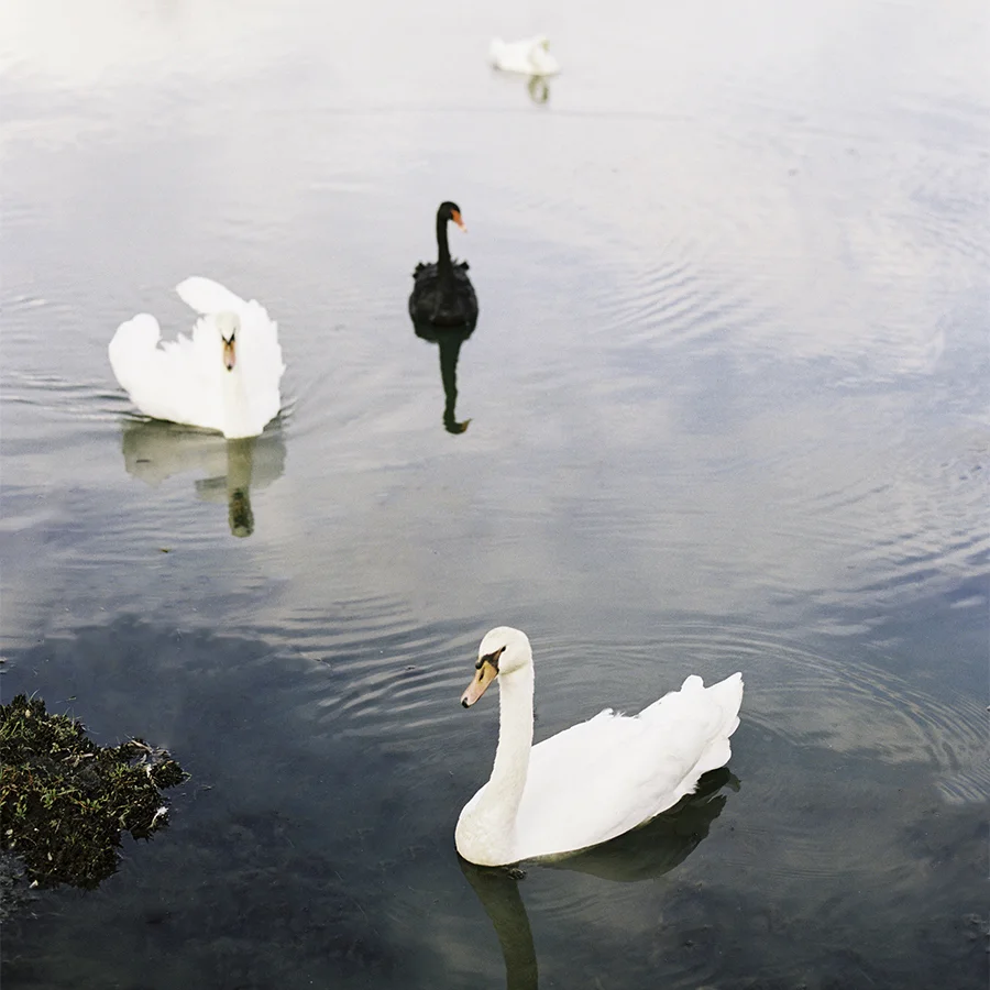 Adam Barnes | Wedding Photographer