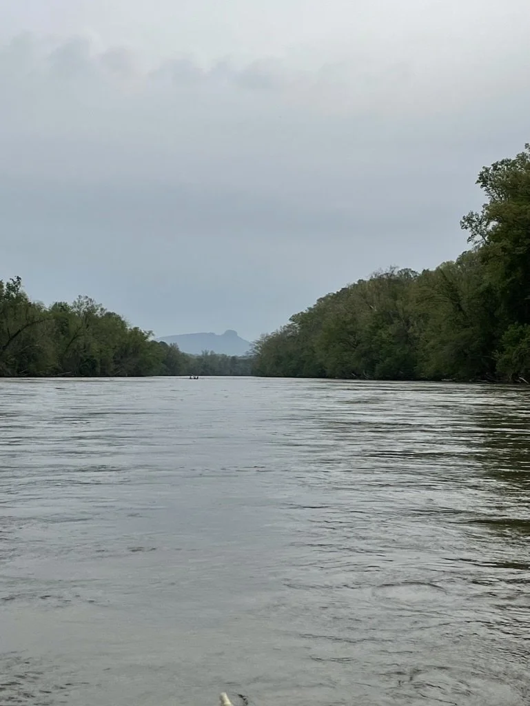 Paddling Through the River: My Journey on the Yadkin River State Trail ...