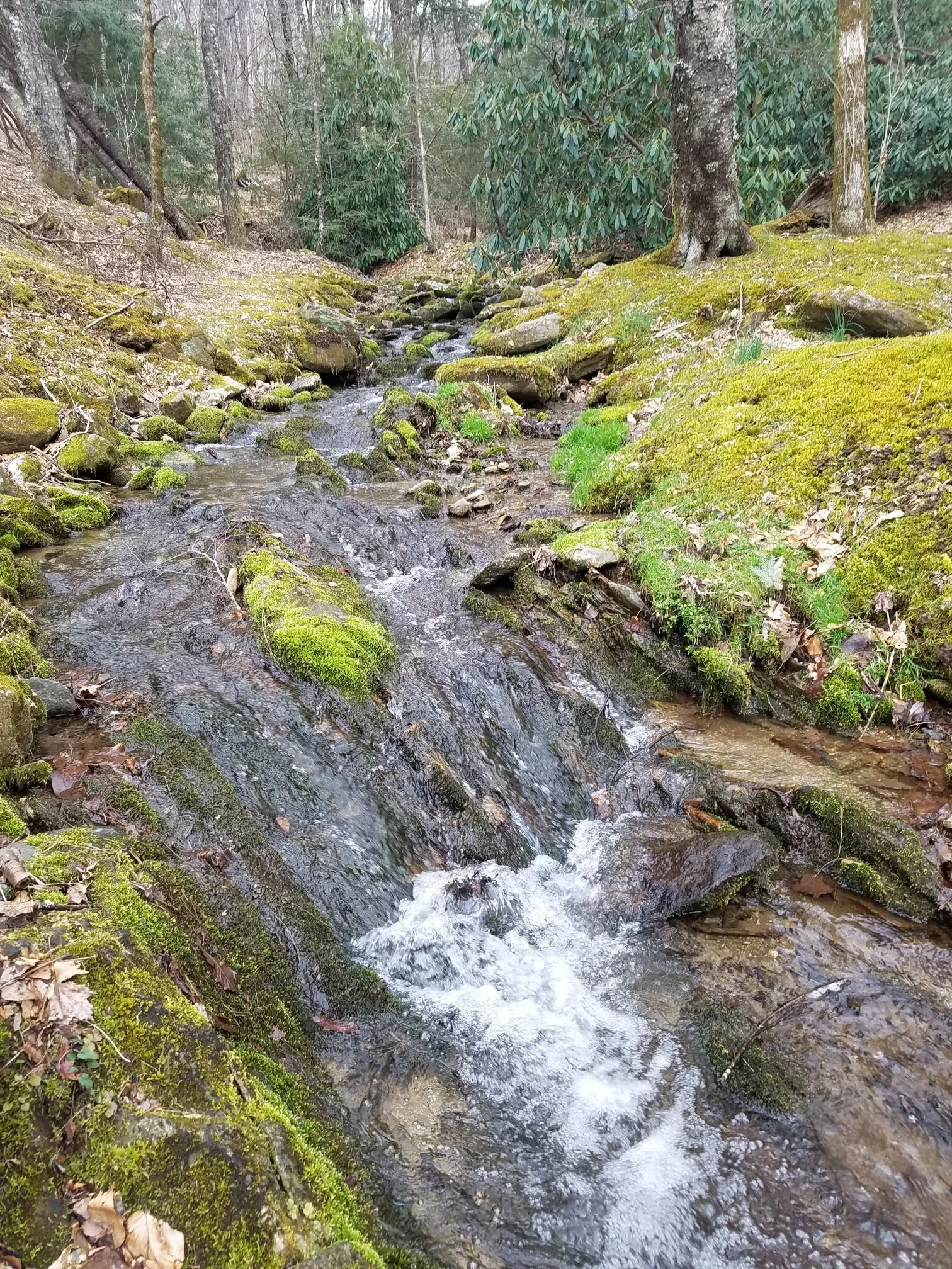 Yadkin Riverkeeper Addresses Misinformation on Waters of the United ...