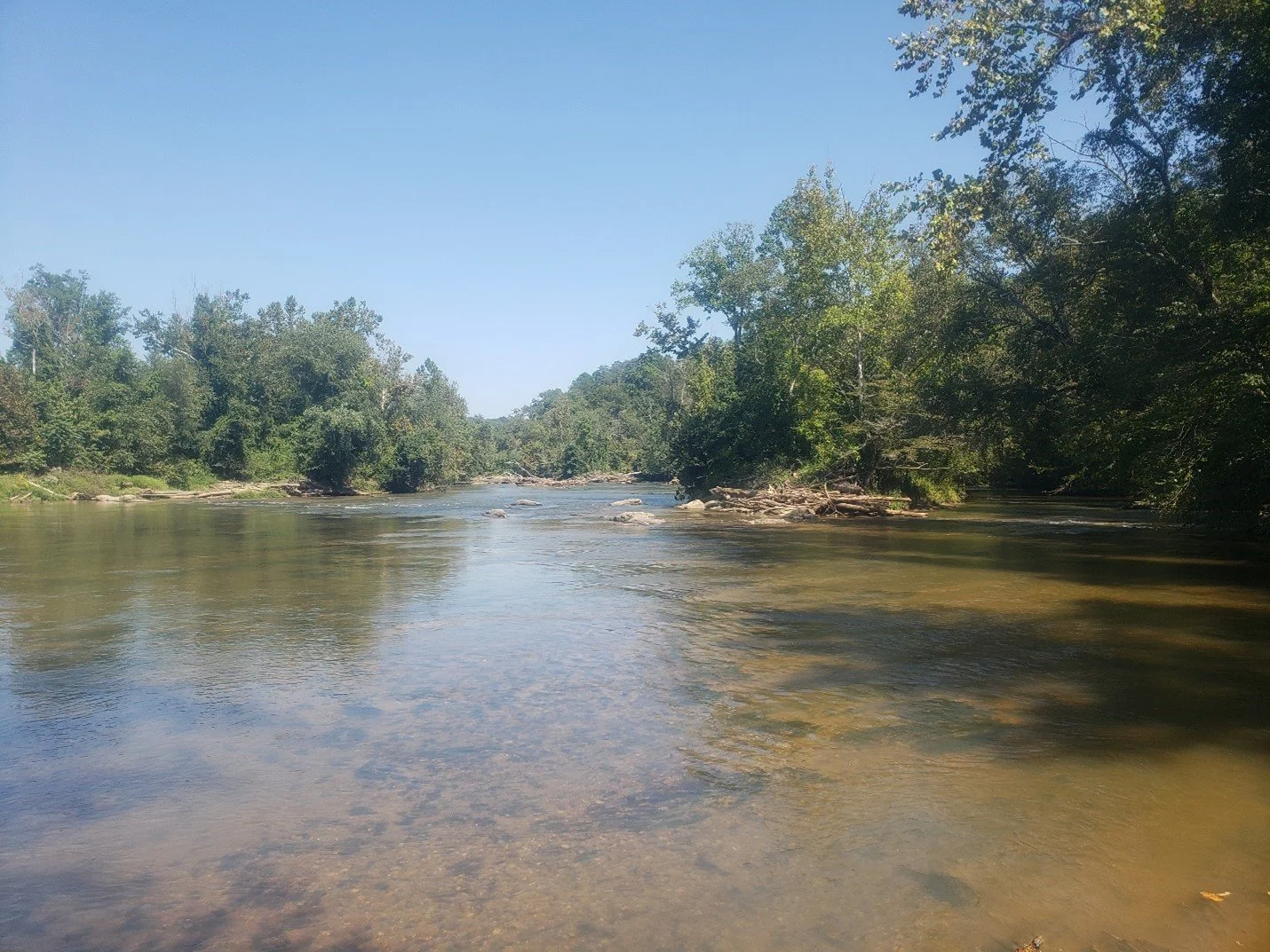 The Journey of the Sediment- Sediment and Nutrients Plaguing the Yadkin and the Yadkin ...