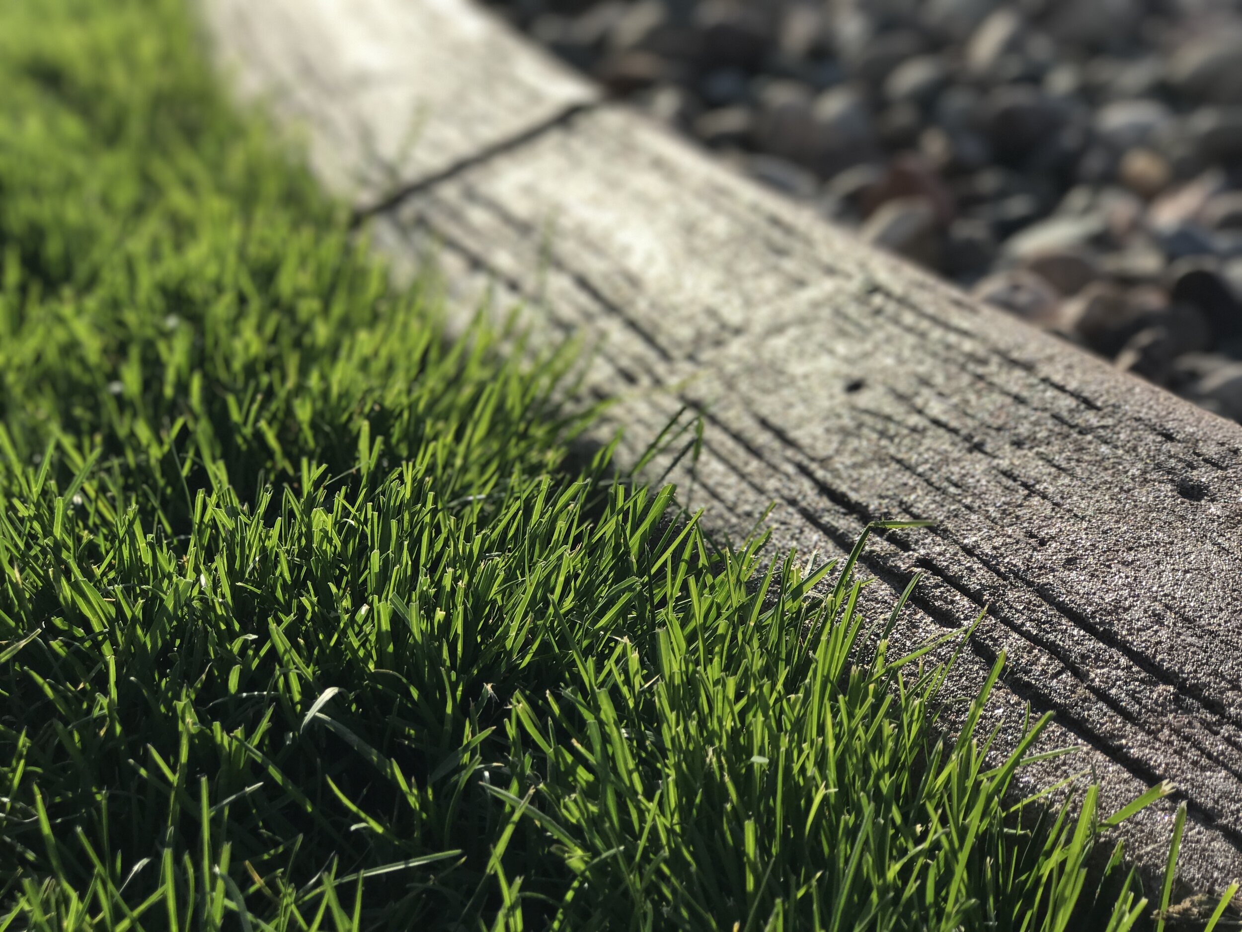 Concrete Curb Edging Portfolio — Zumbo Valley Landscaping & Snow