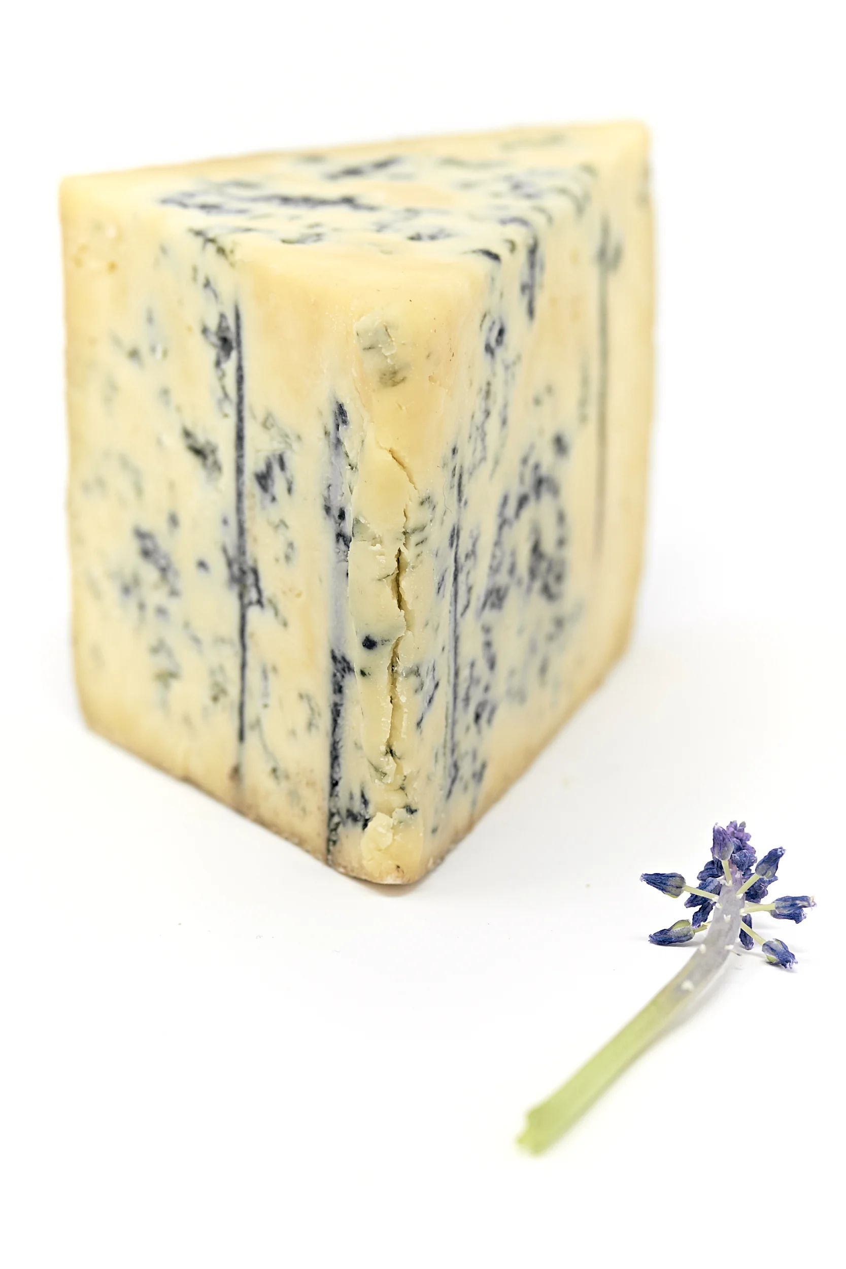 Bluebird — The Grey Barn & Farm