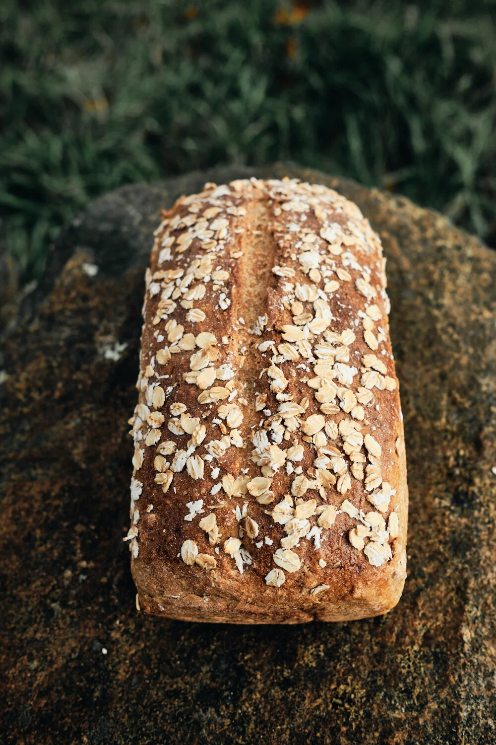 Bread — The Grey Barn & Farm