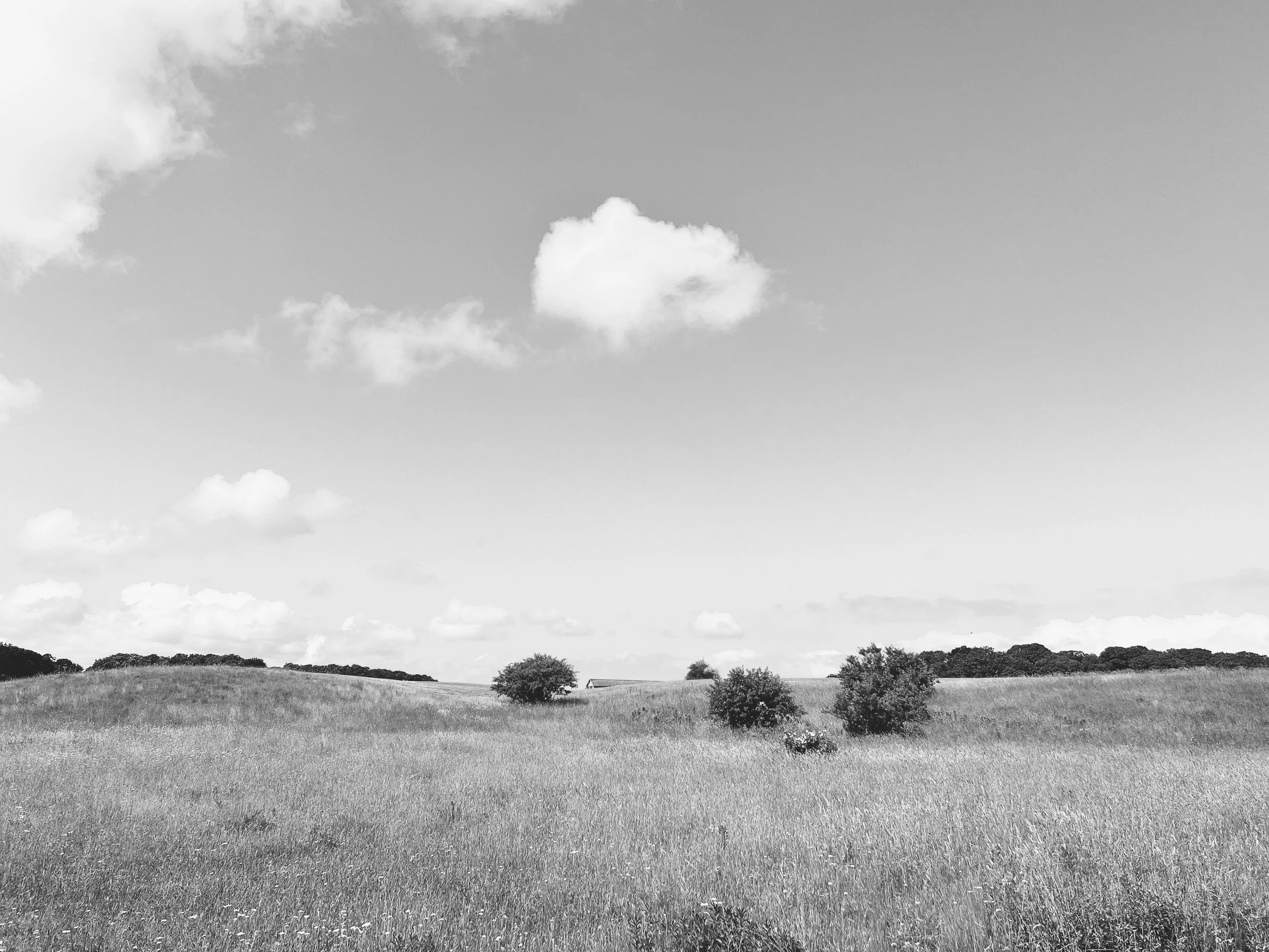 The Grey Barn & Farm