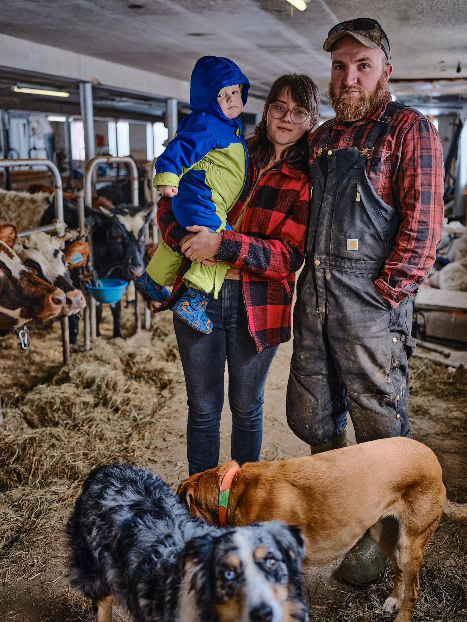 Introducing our Sister Farm Knob Hill Farm in Marshfield, Vermont — The ...