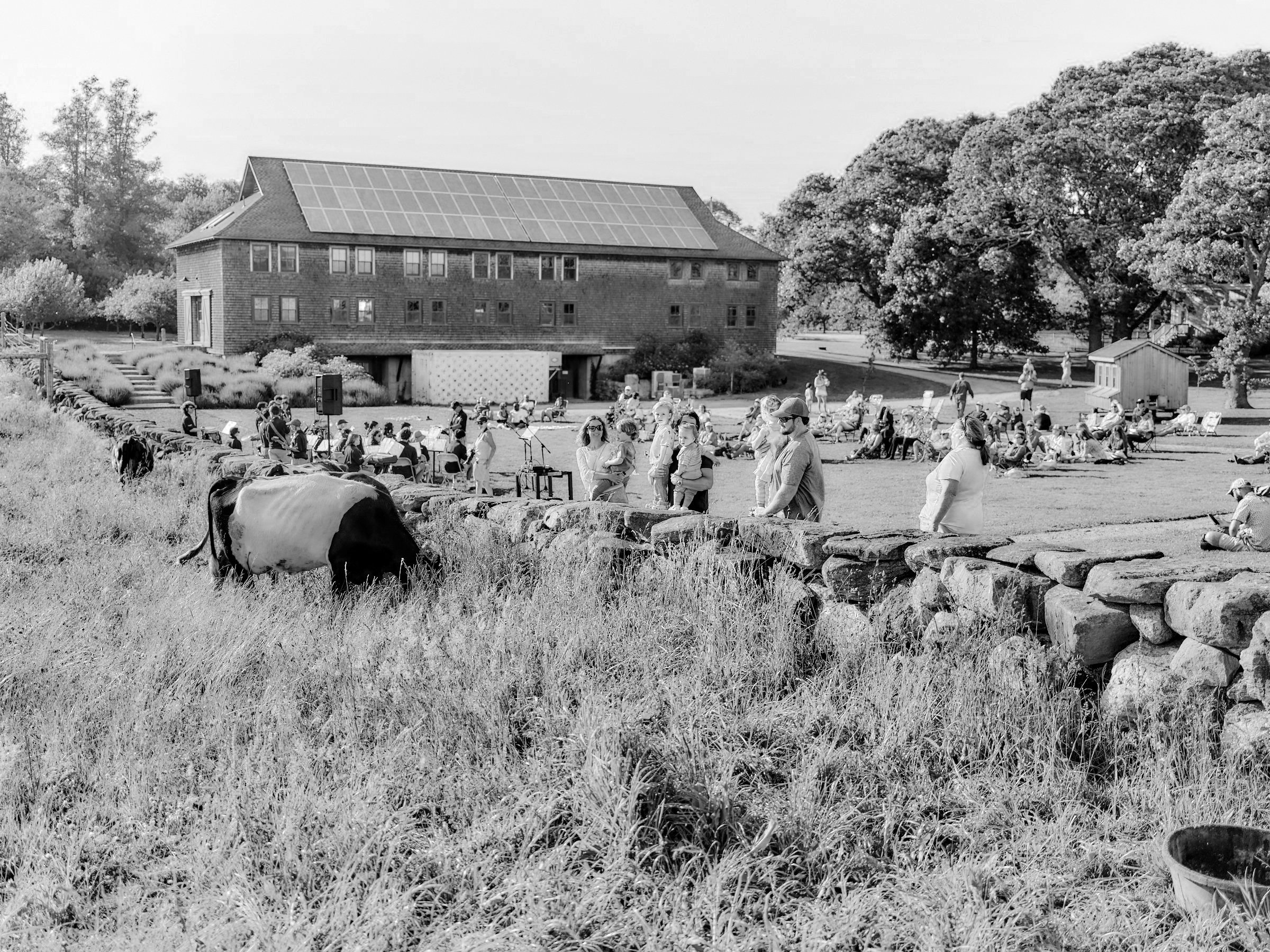The Grey Barn & Farm