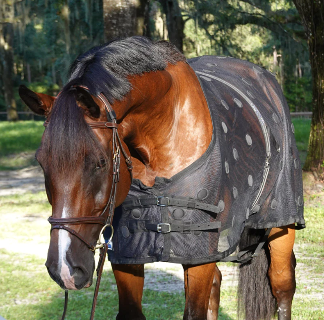 BeneFab Rejuvenate SmartScrim — JC Saddlery Online Store