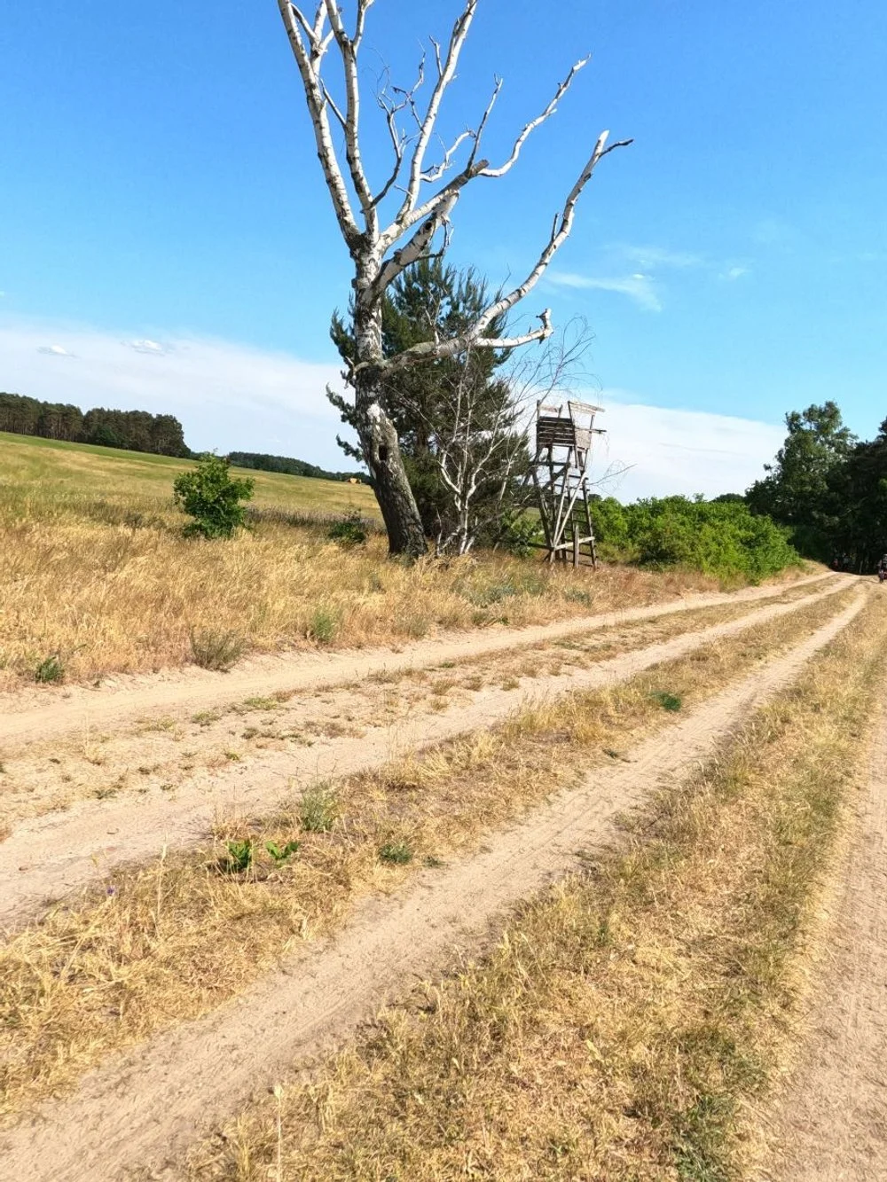 Mit dem Rad nach Rom — grad60.com