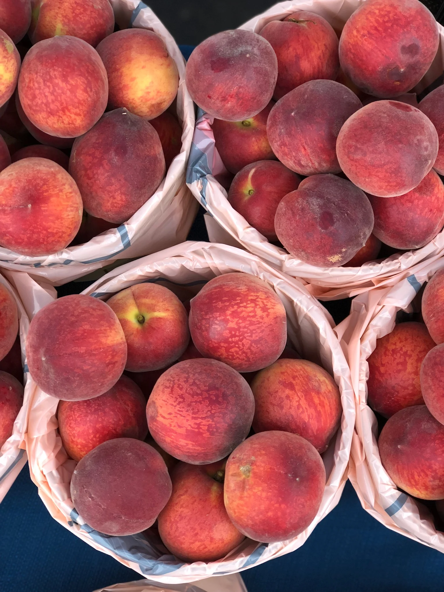 Our Vendors — Travelers Rest Farmers Market