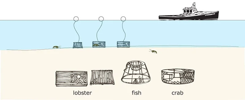 Shellfish Techniques - Monterey Fish Market — Monterey Fish Market