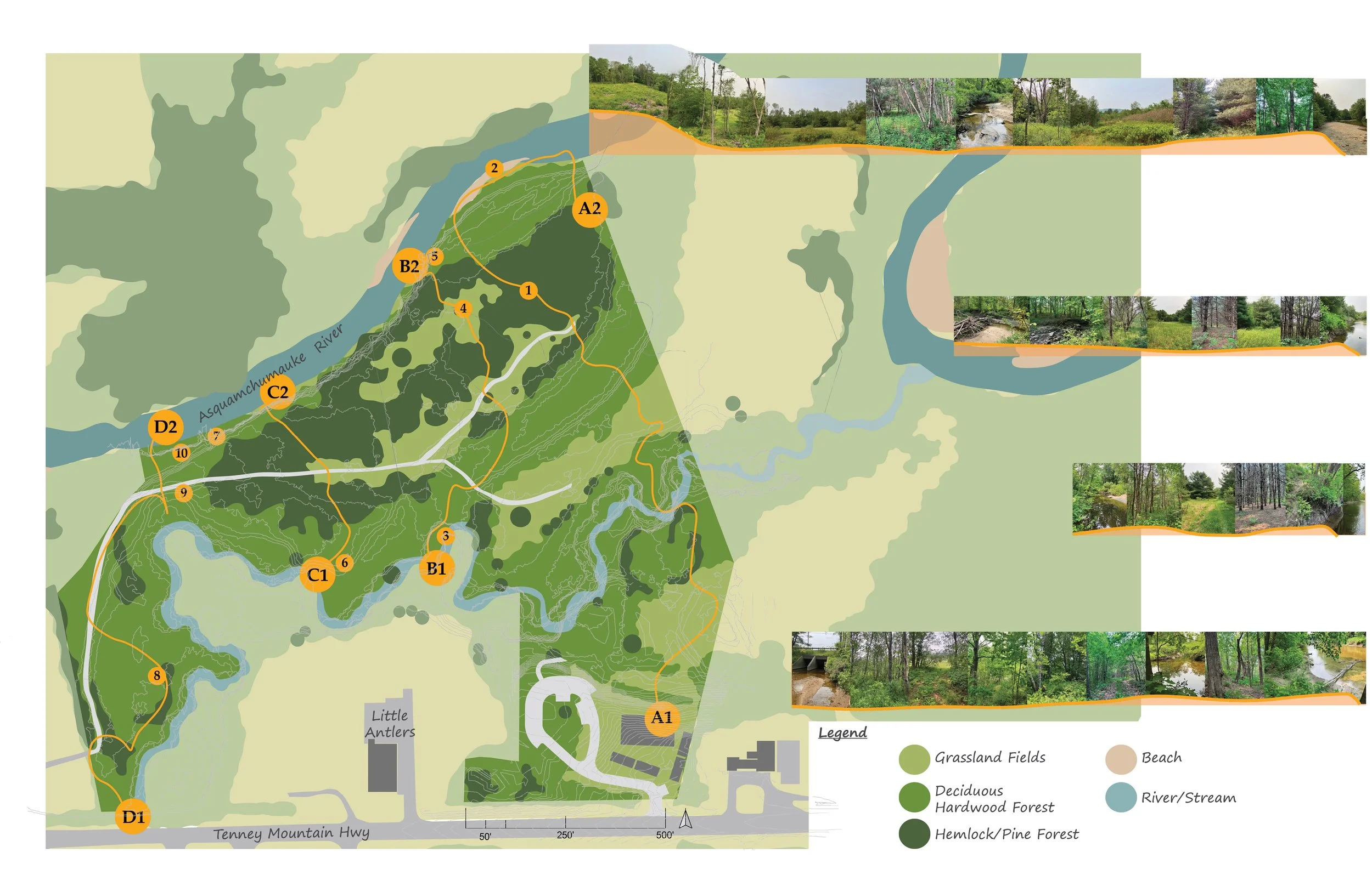 Landscape Design — Mountain Village Charter School