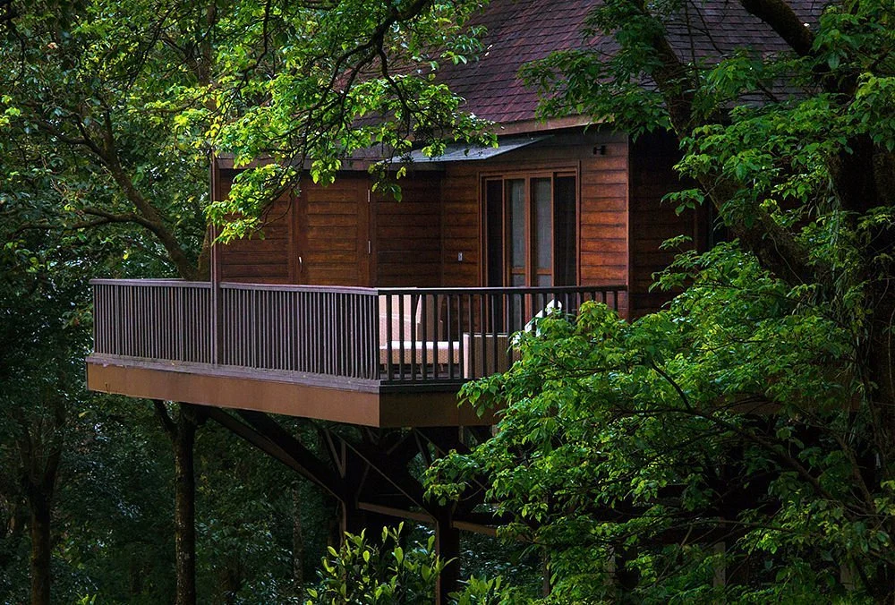 Brew your coffee at The Tamara Coorg — www.hospemag.me