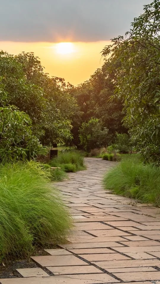 Woods At Sasan wins Destination Deluxe Awards 2022, "Hotel Design of ...