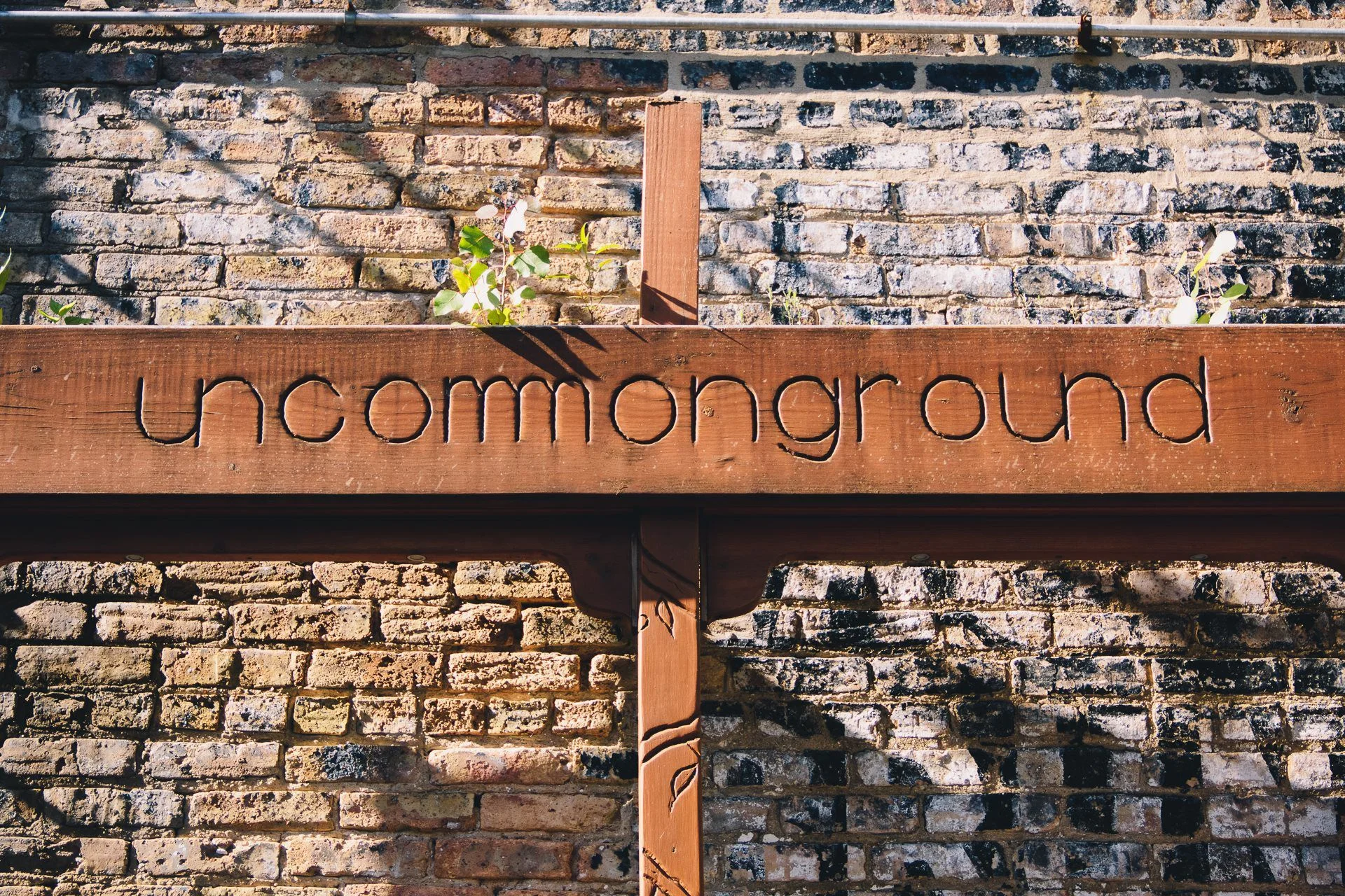 LAKEVIEW DINNER — Uncommon Ground