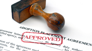 Overview of the Adoption Process — San Diego Adoption Attorney Lauren Bates