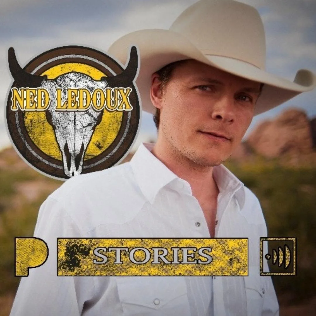 Celebrating 5 years of Pandora AMP! — AMP Playbook