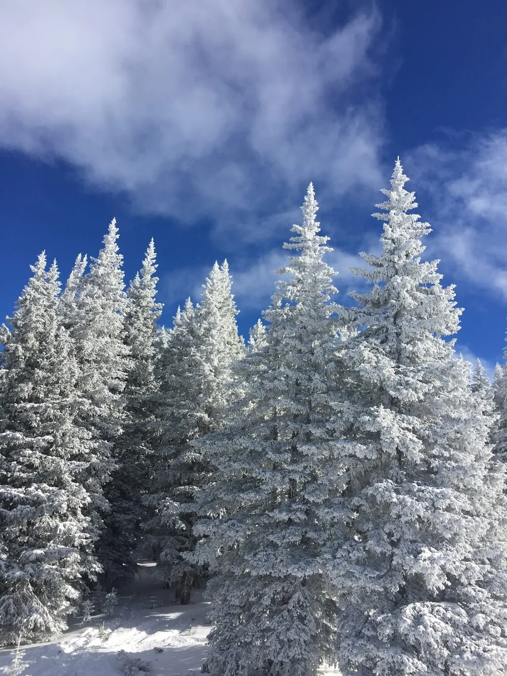 10 Secrets of a Vail Local — Make a Date of It