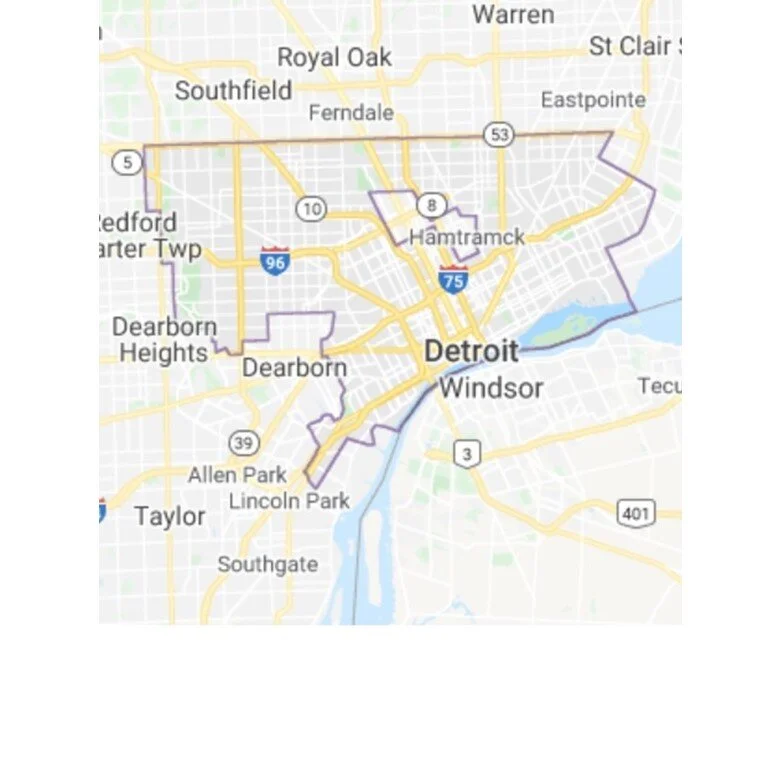 Detroit Recovery Project Peer Implementation Trial — GMAP