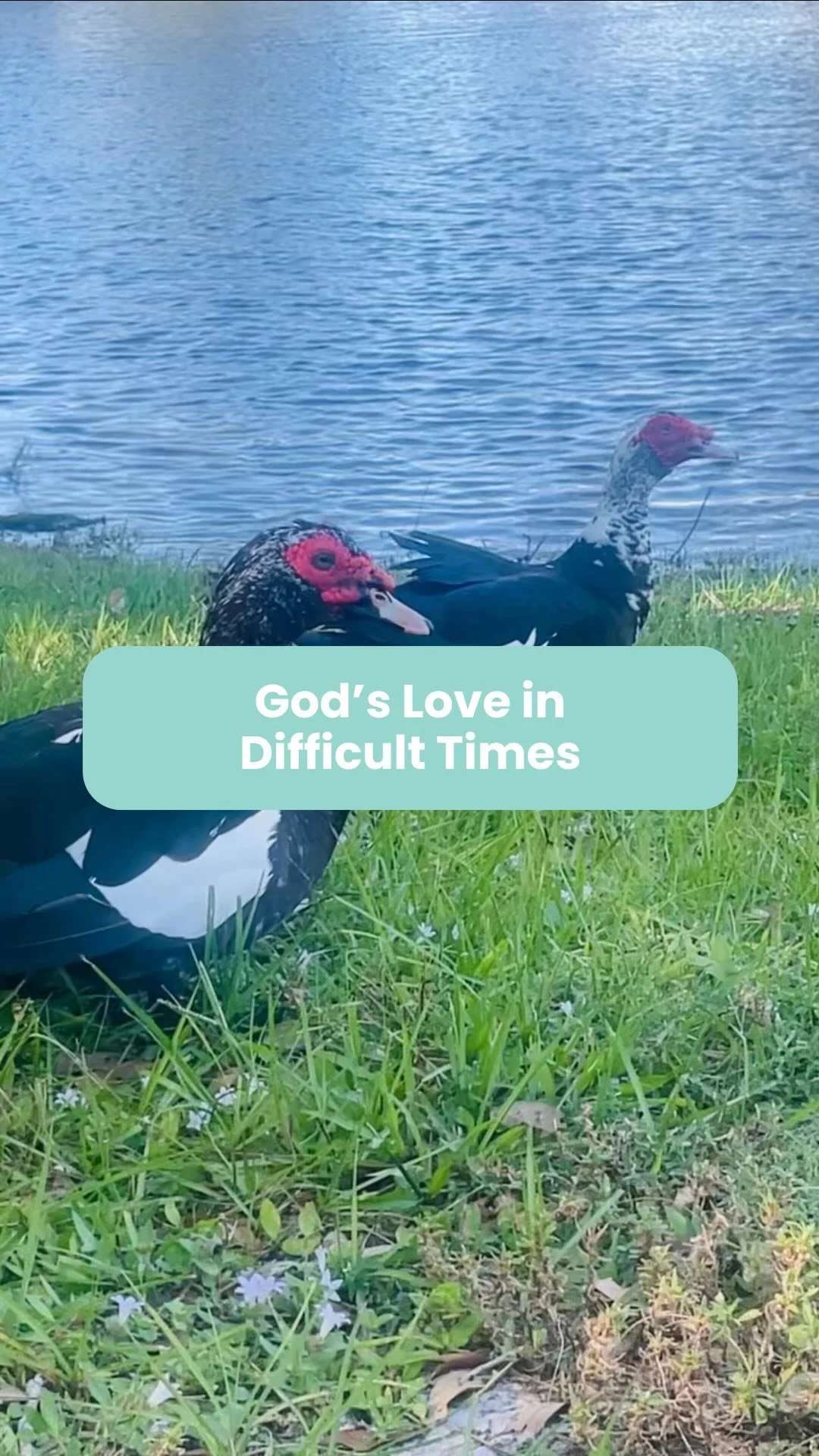 How to Meditate on God's Word — Renewed