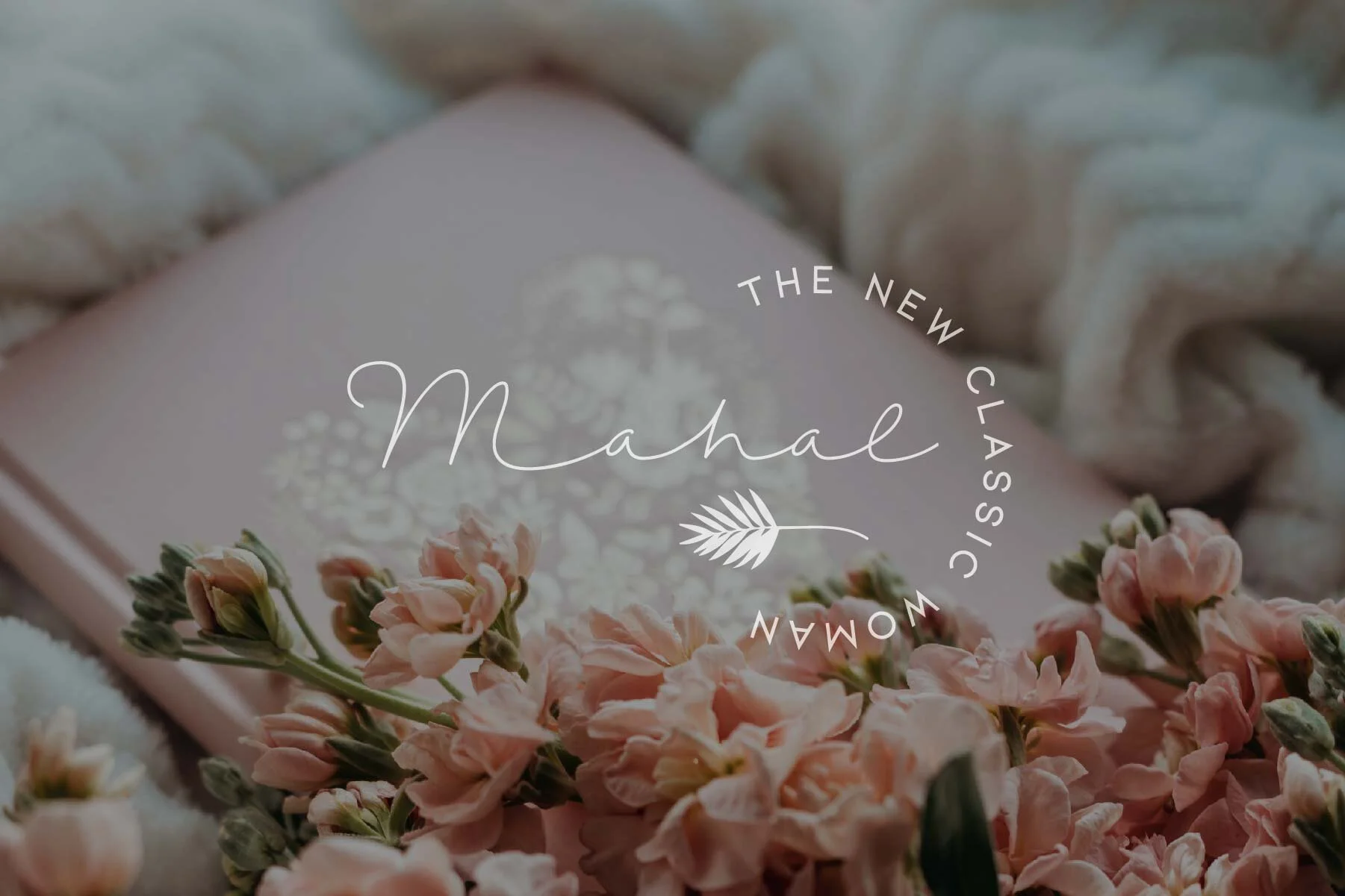 Portfolio — Wild Dreams Co.