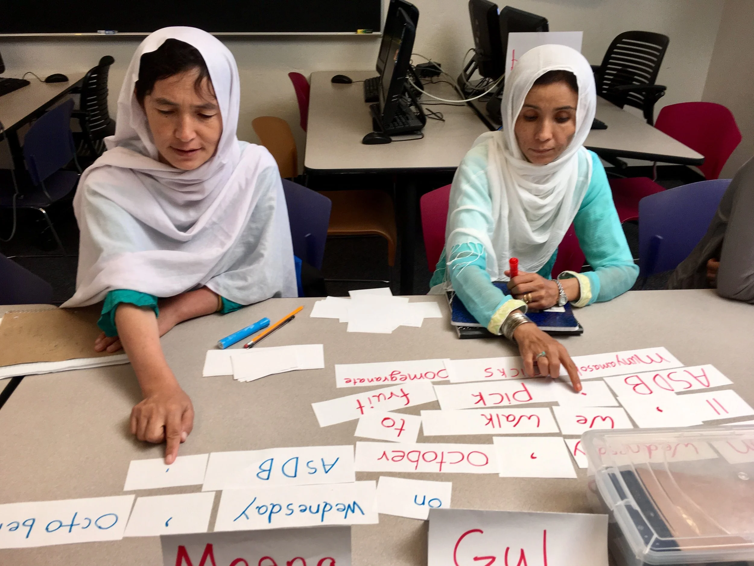 Online Collections — Literacy Education and Second Language Learning ...